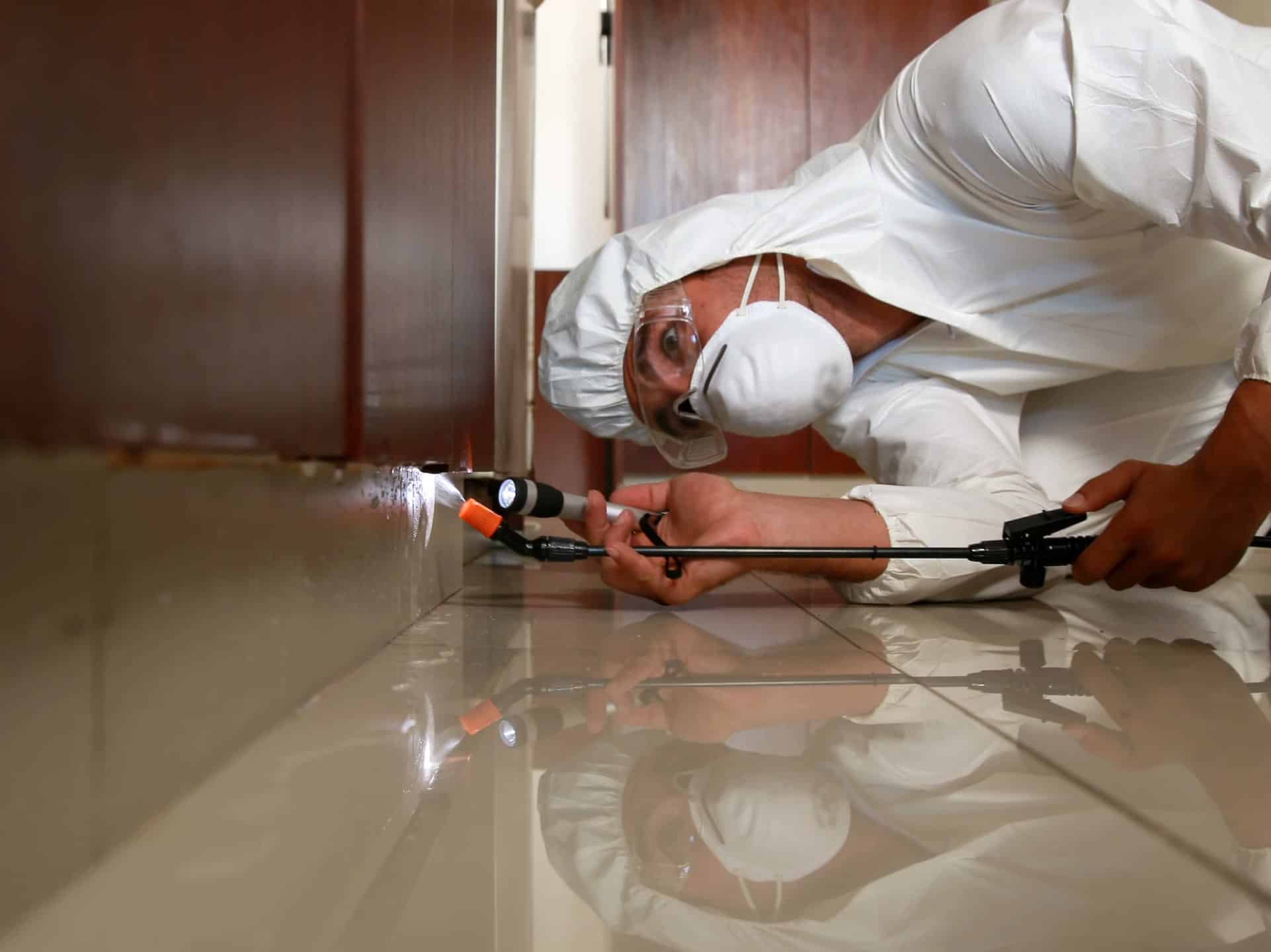 Fastkil Pest Control Services | Termite & Pest Exterminator Philippines